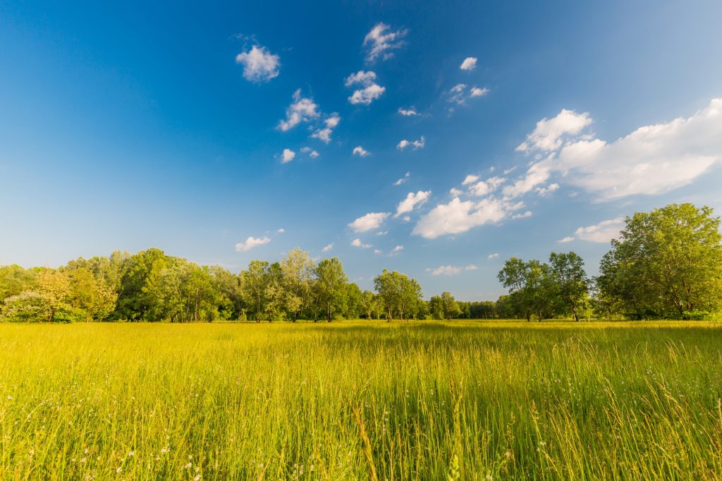 Alon Group Solutions - Alon Group